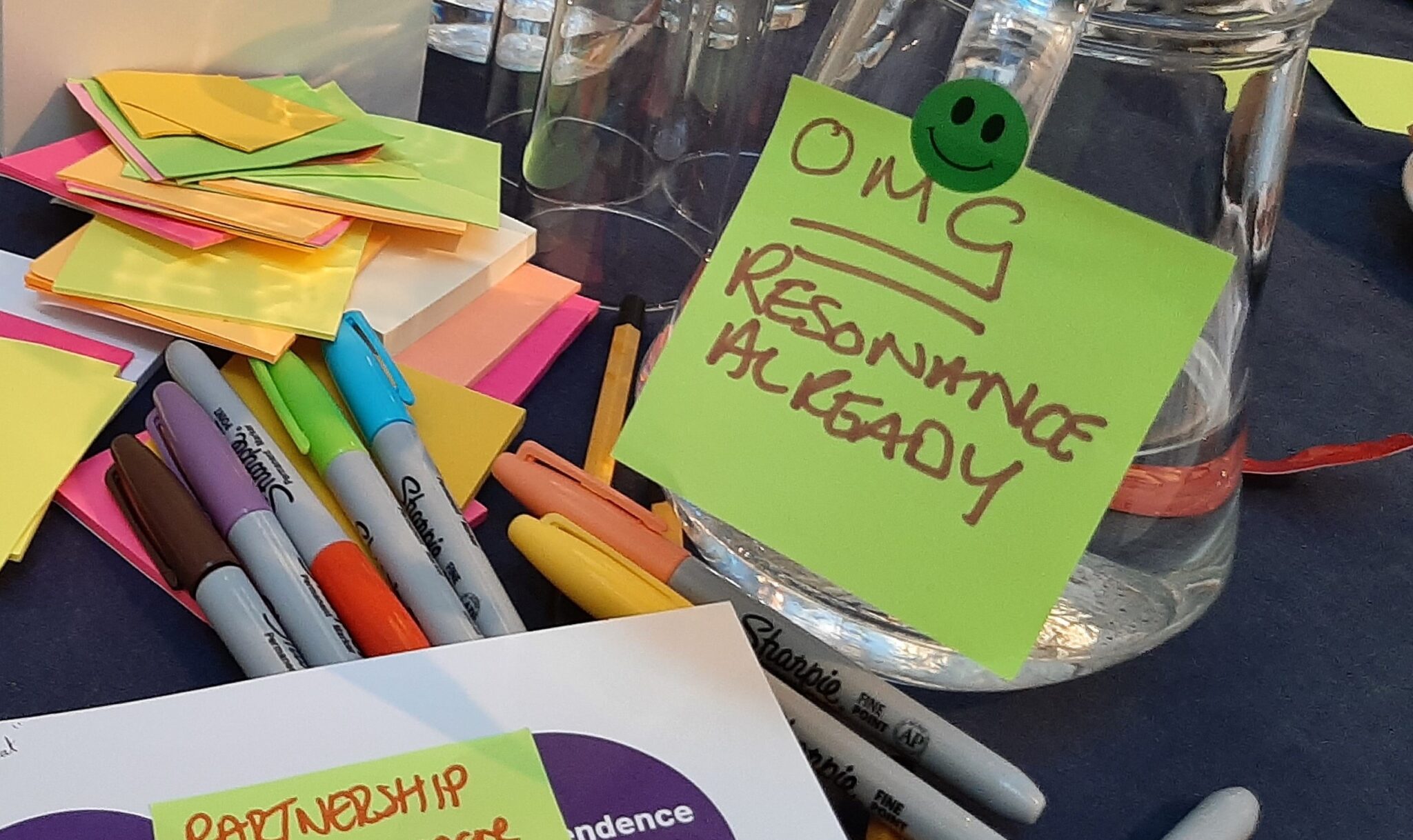 Launching the Lived Experience in Policymaking Guide: Reflections on the principles, behaviours ...